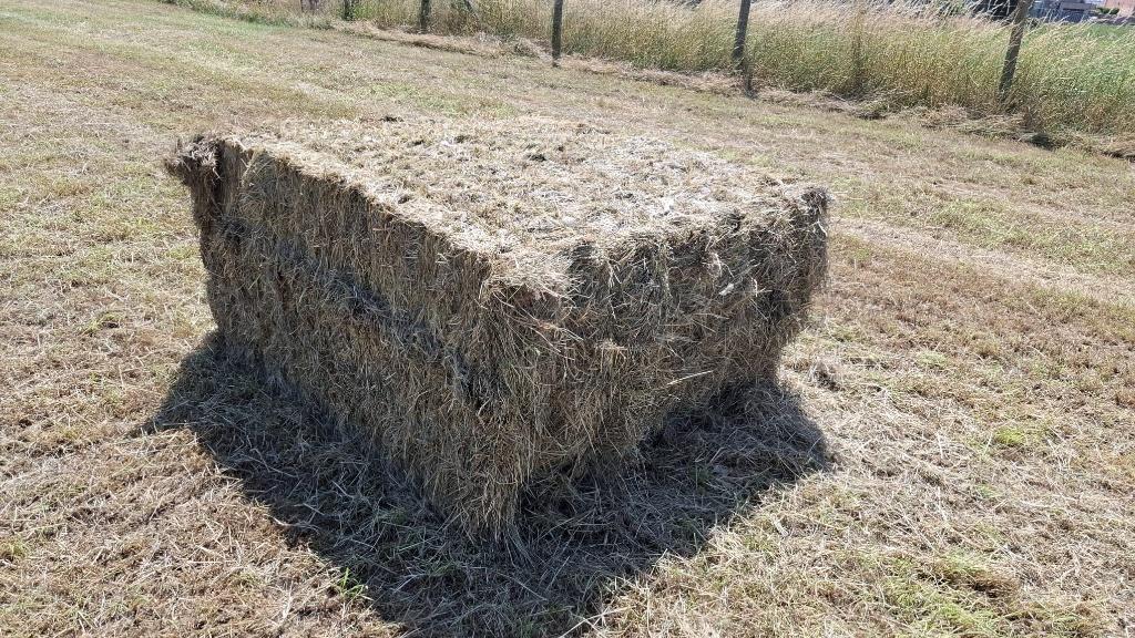 ② Grote pakken hooi - woensdagavond opladen op t veld — Dierenvoeding ...