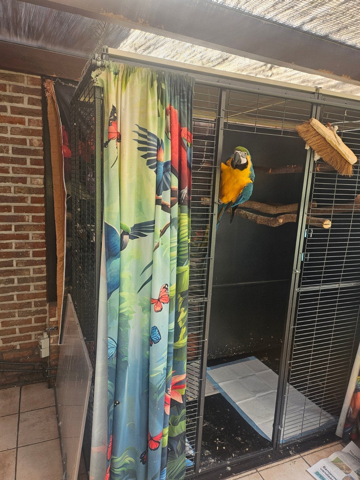 ② Voliere kooi — Vogels | Parkieten en Papegaaien — 2dehands