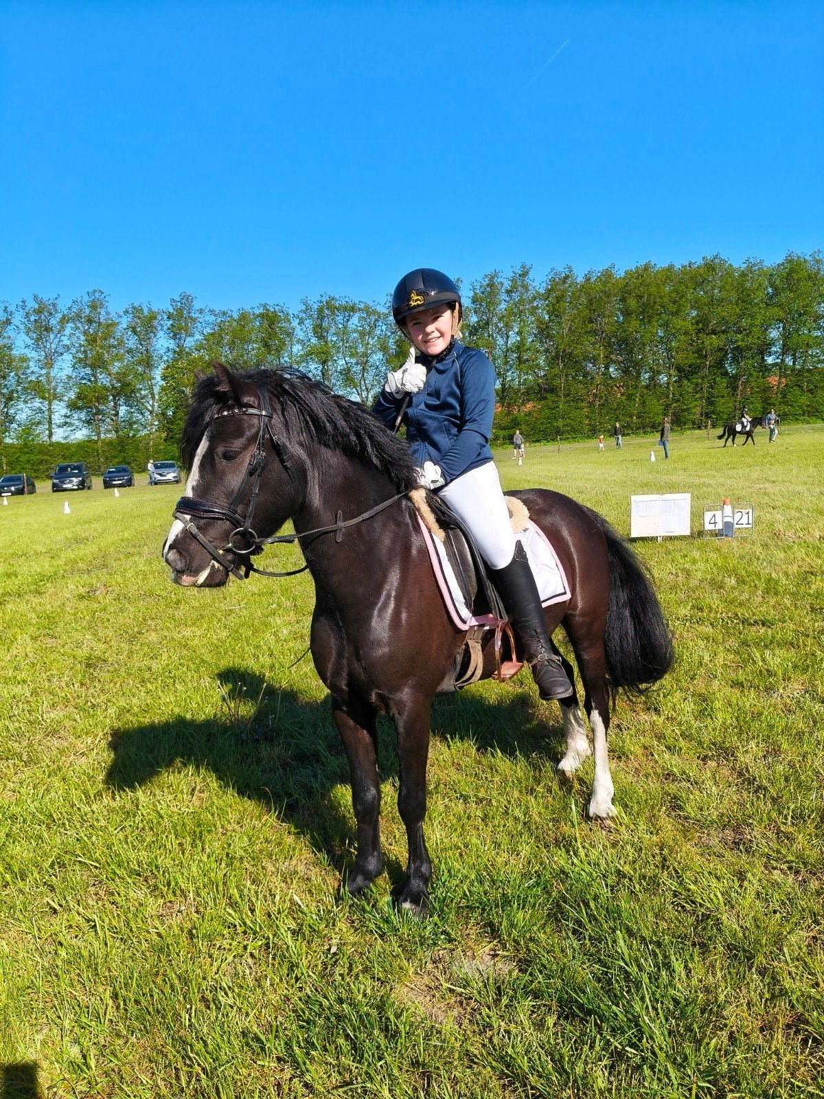 ② Hele mooie B Pony ruin — Pony's — 2dehands