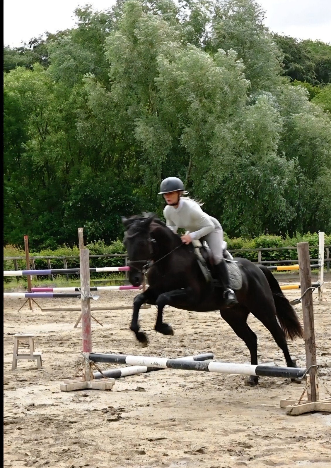 ② Lieve 3 jarige dravers ruin — Pony's — 2dehands