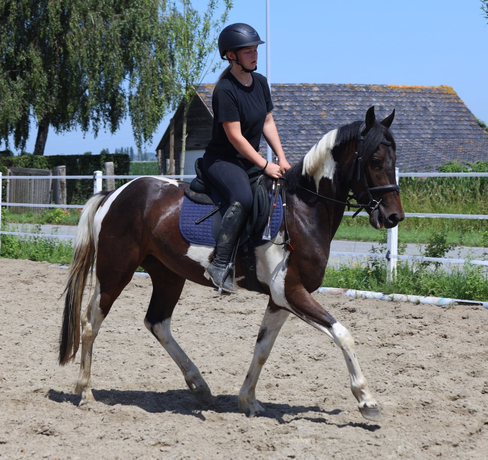 ② Knappe bonte D Pony — Pony's — 2dehands