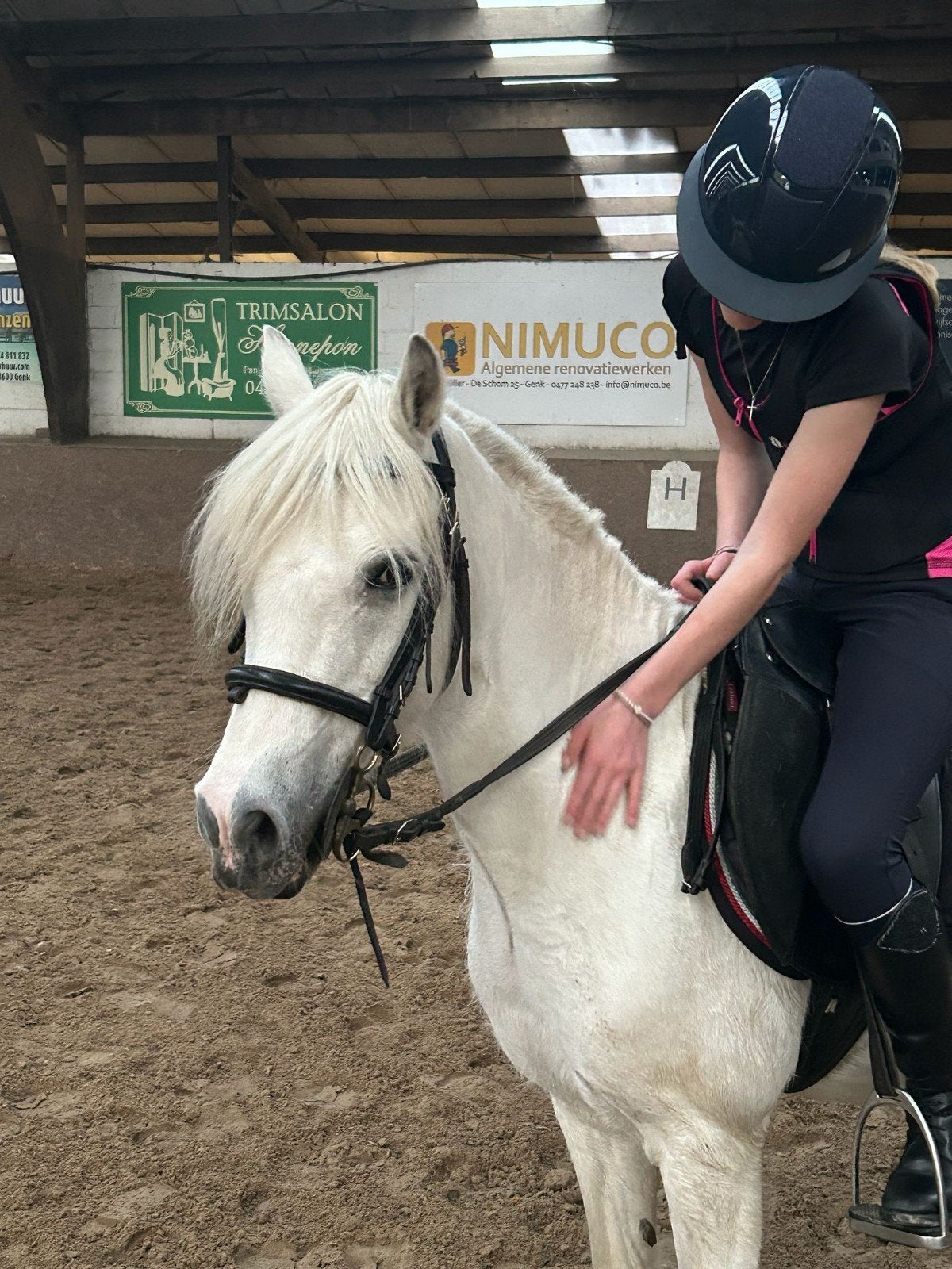② Verzorg paard/pony gezocht (m2406870588) — Pony's — 2dehands