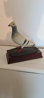 Postduif - Vogels | Duiven Te Koop | 2dehands | Pagina 3