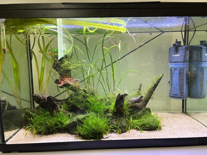 ② Aquarium mét toebehoren te koop — Vissen | Aquaria en Toebehoren ...