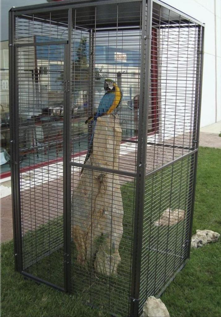 ② Volière 1x1x2 m pour perroquet cage ara amazon gris gabon — Oiseaux ...