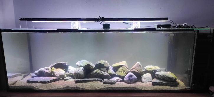 ② Aquarium LED verlichting — Vissen | Aquaria en Toebehoren — 2dehands