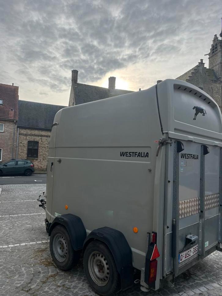 ② Westfalia paardentrailer in goede staat — Paarden en Pony's | Trailers en Aanhangwagens — 2dehands