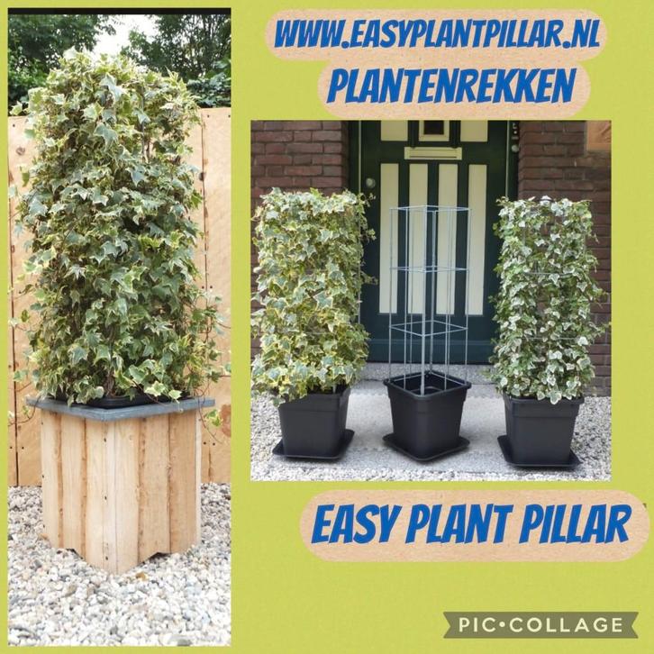 ② KLIMPLANTREKKEN OM EN TEGEN HET HUIS — Accessoires pour la Maison ...