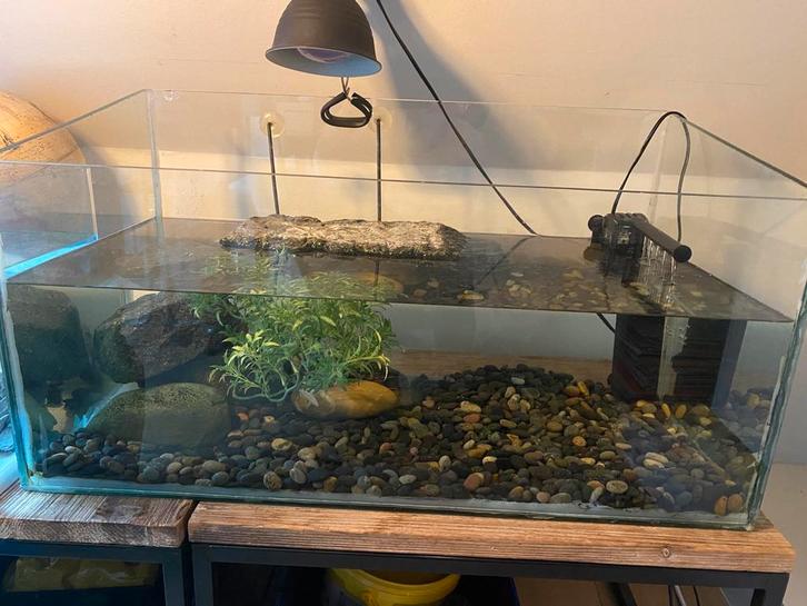 ② Aquarium/terarium met toebehoren te koop — Vissen | Aquaria en ...