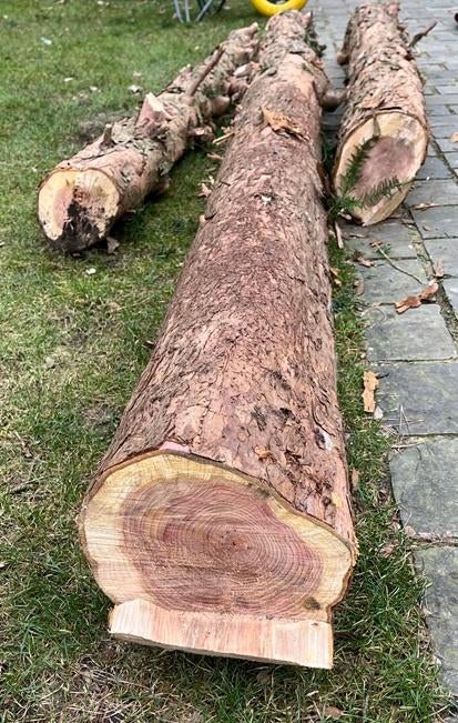 ② Taxushout, draaihout, fijnhout — Hout en Planken — 2dehands