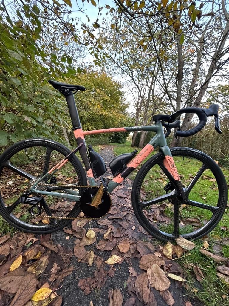 ② Specialized Allez Sprint Custom artist series — Fietsen | Racefietsen ...