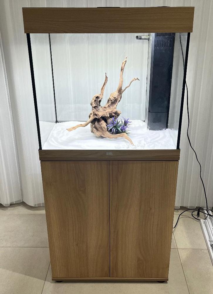 ② Aquarium Juwel Lido 120 complet avec meuble. — Vissen | Aquaria en ...