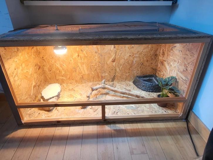 ② Terrarium/vivarium voor reptielen — Reptielen en Amfibieën ...